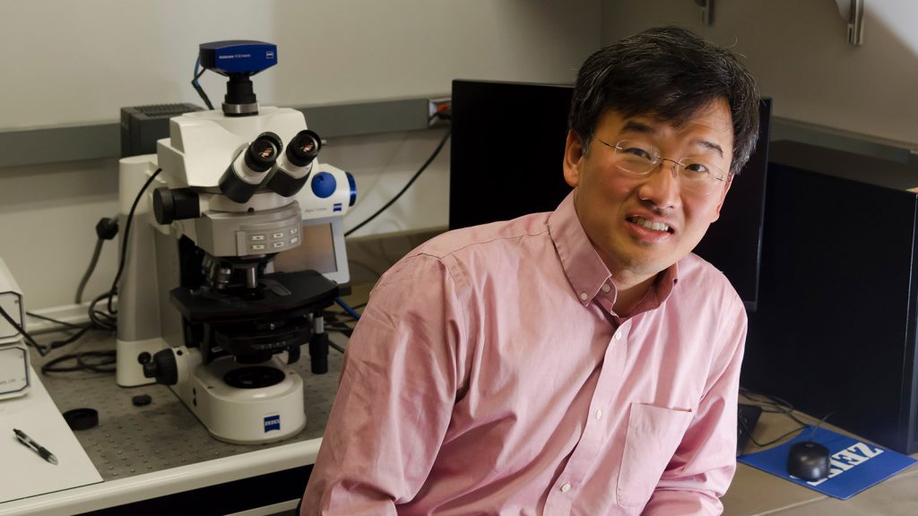 Professor of Biology Dennis Kim bids farewell to the department - MIT ...