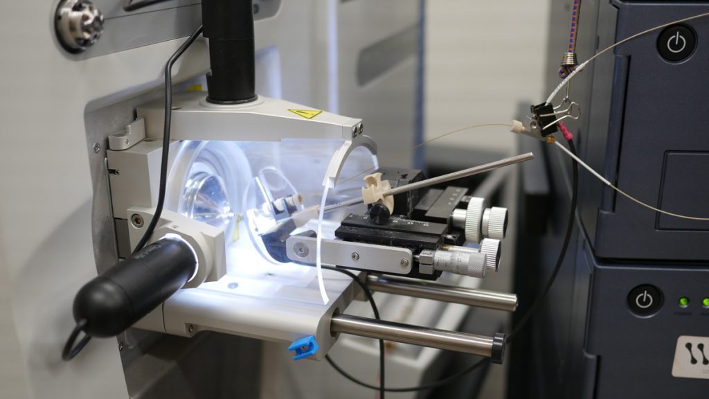 Quantitative Proteomics Core - MIT Department of Biology