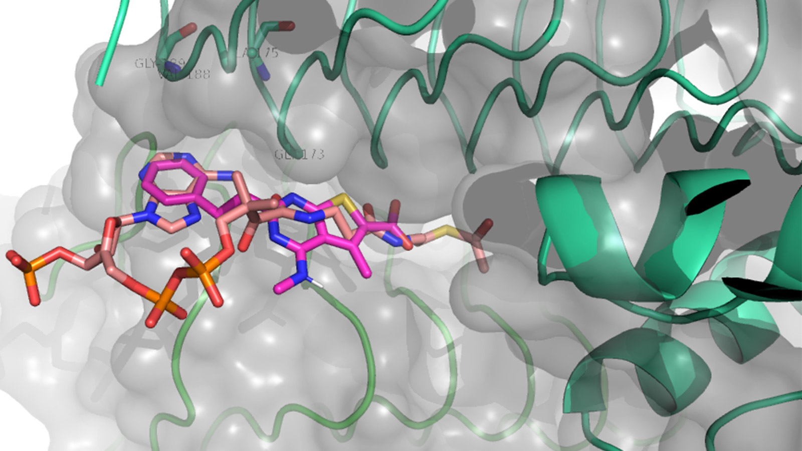 MIT Department of Biology