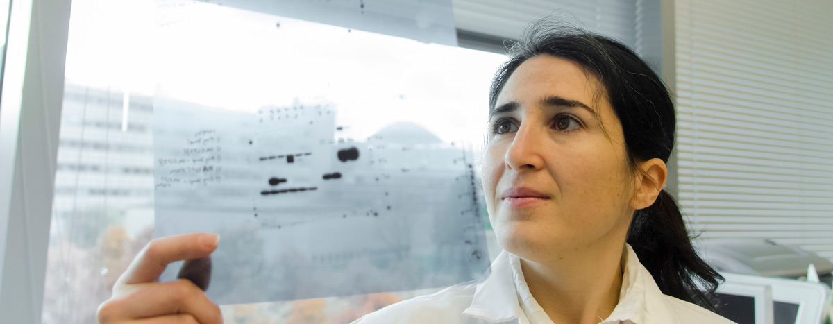 Endowed and Expendable Funds - MIT Department of Biology