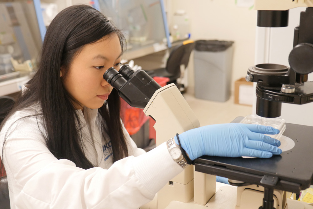 Profile: Elizabeth Li - MIT Department of Biology