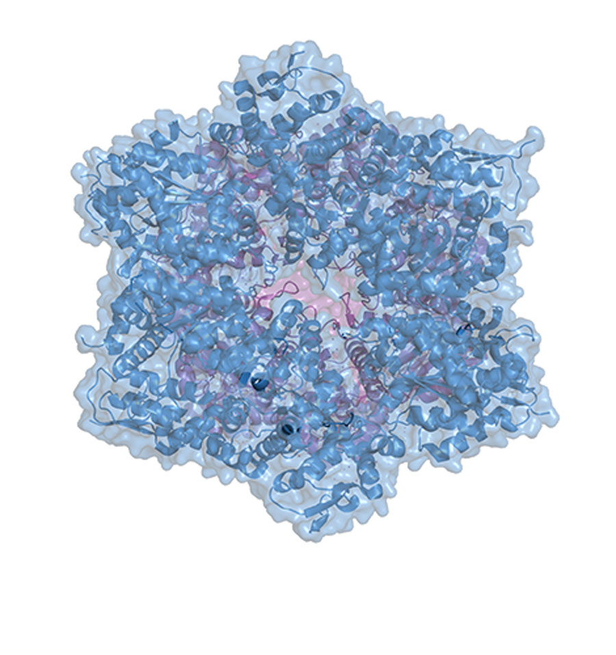 News Brief: “Slippery” proteins evade destruction - MIT Department of ...