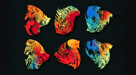 News Brief: An oracle for evolution - MIT Department of Biology