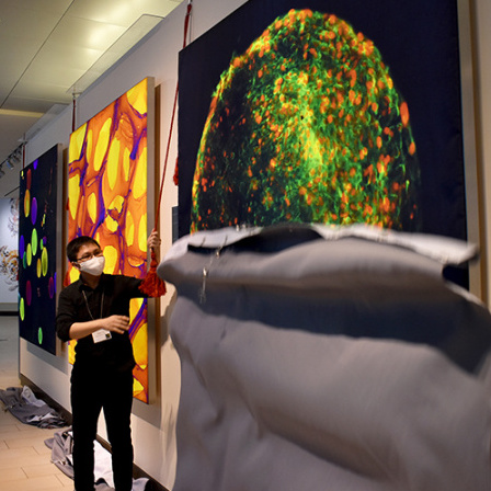 2023 Image Awards - MIT Department of Biology