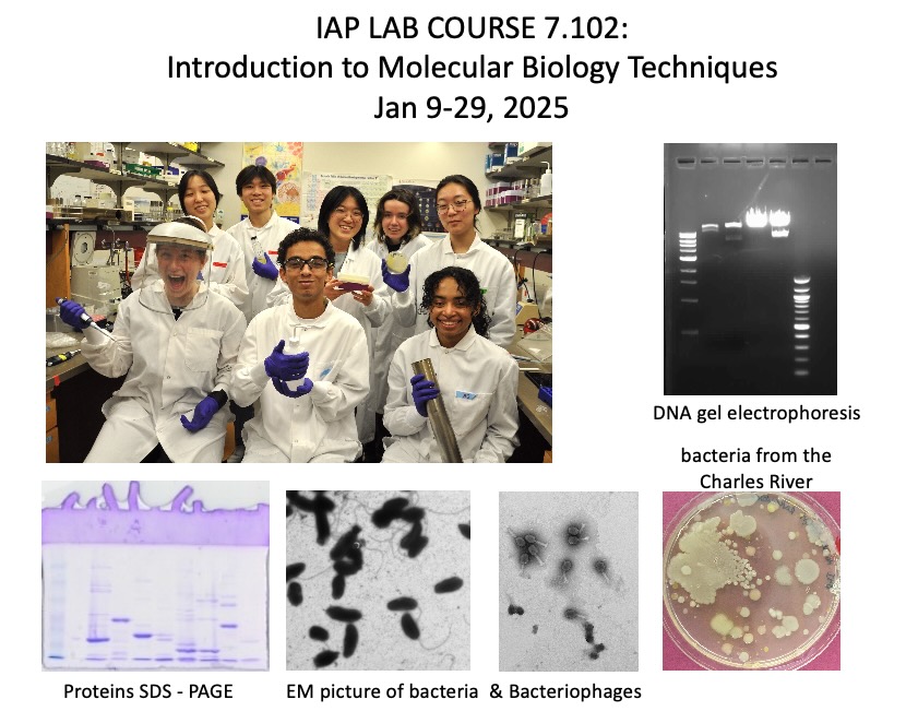 Biology IAP Offerings - MIT Department of Biology