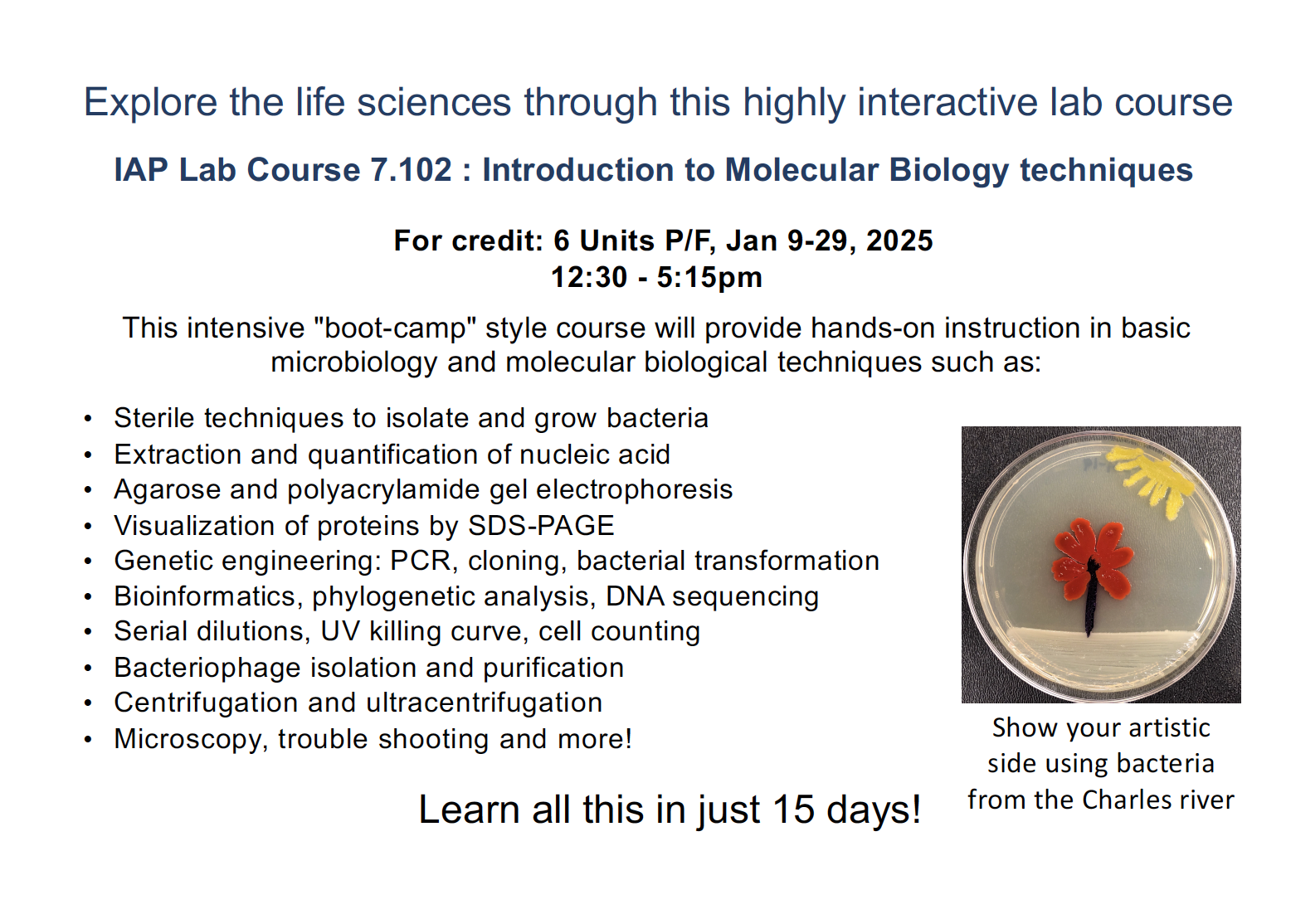 Biology IAP Offerings - MIT Department of Biology